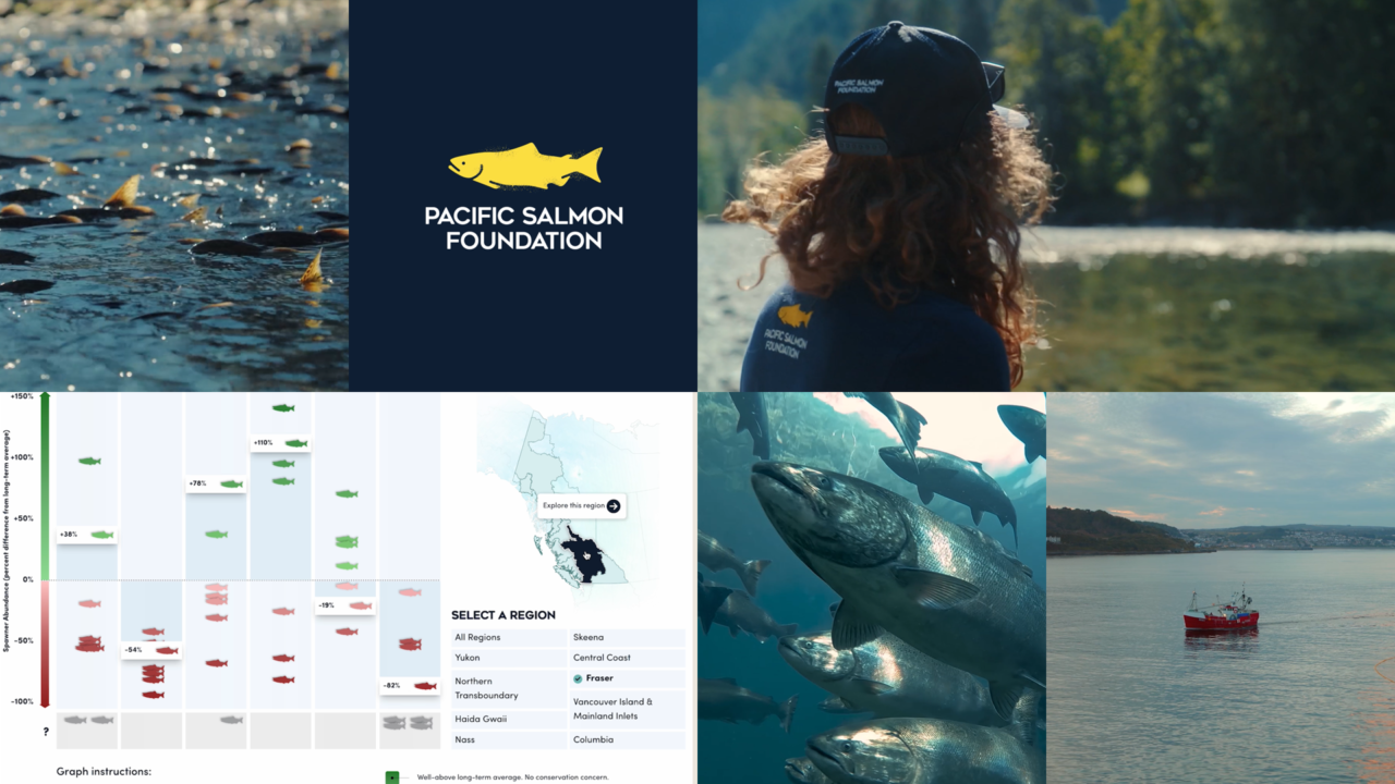 Presenting a broad-scale evaluation of the state of Pacific salmon in major salmon-bearing ...